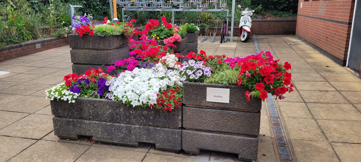 Planters brightening up Droitwich Railway Station in need of flower ...