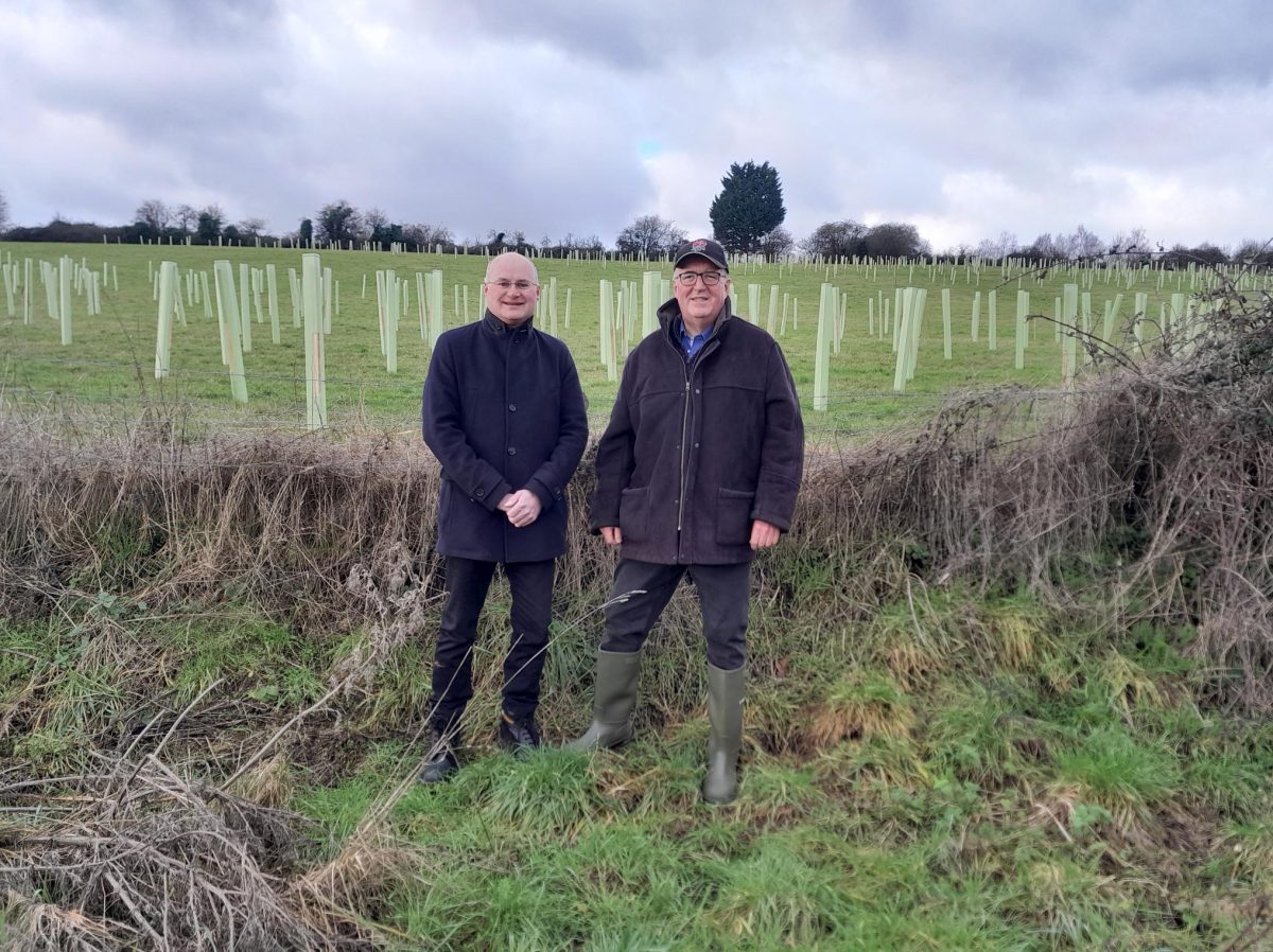Plans revealed for new woodlands in Droitwich and Worcester as council ...