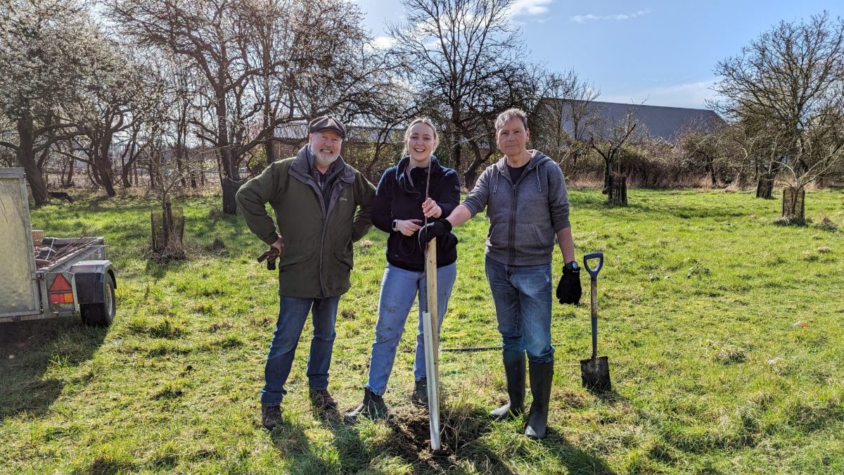 Project encourages landowners to apply for free trees to plant across ...